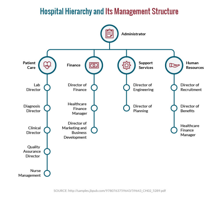 What is the Hierarchy in Hospitals?